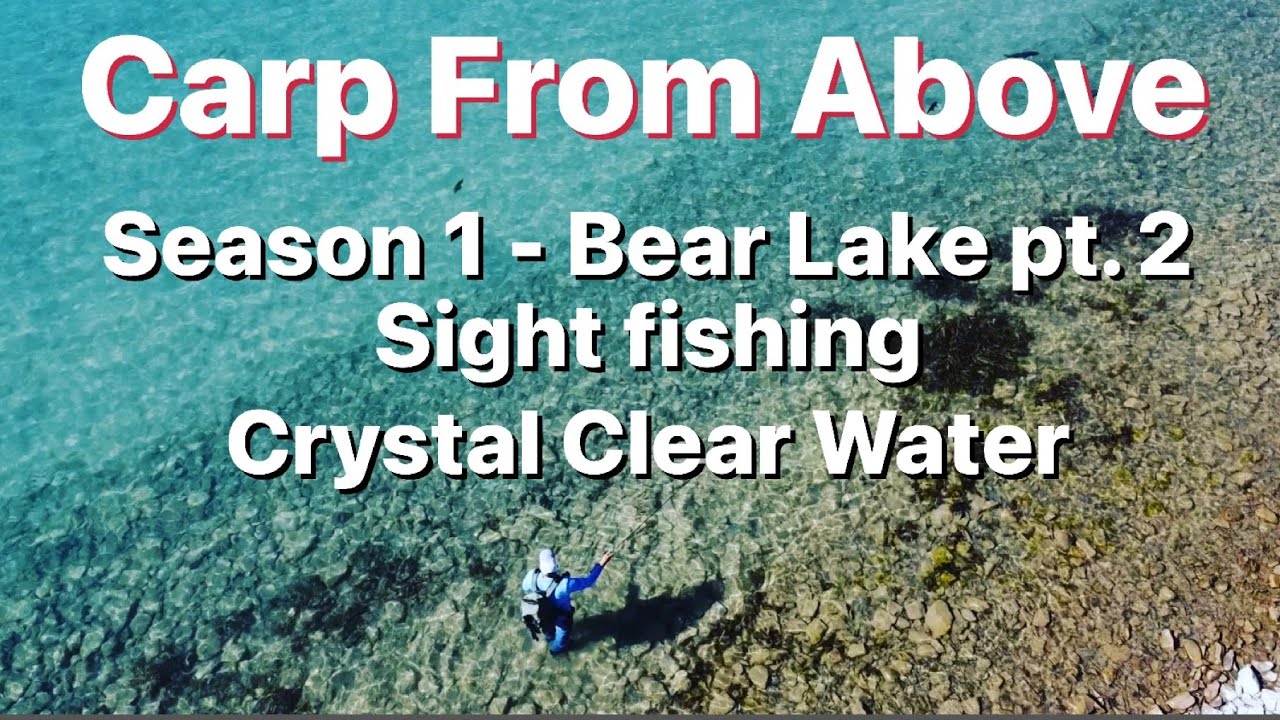 How to Fly Fish for Carp - Bear Lake - YouTube