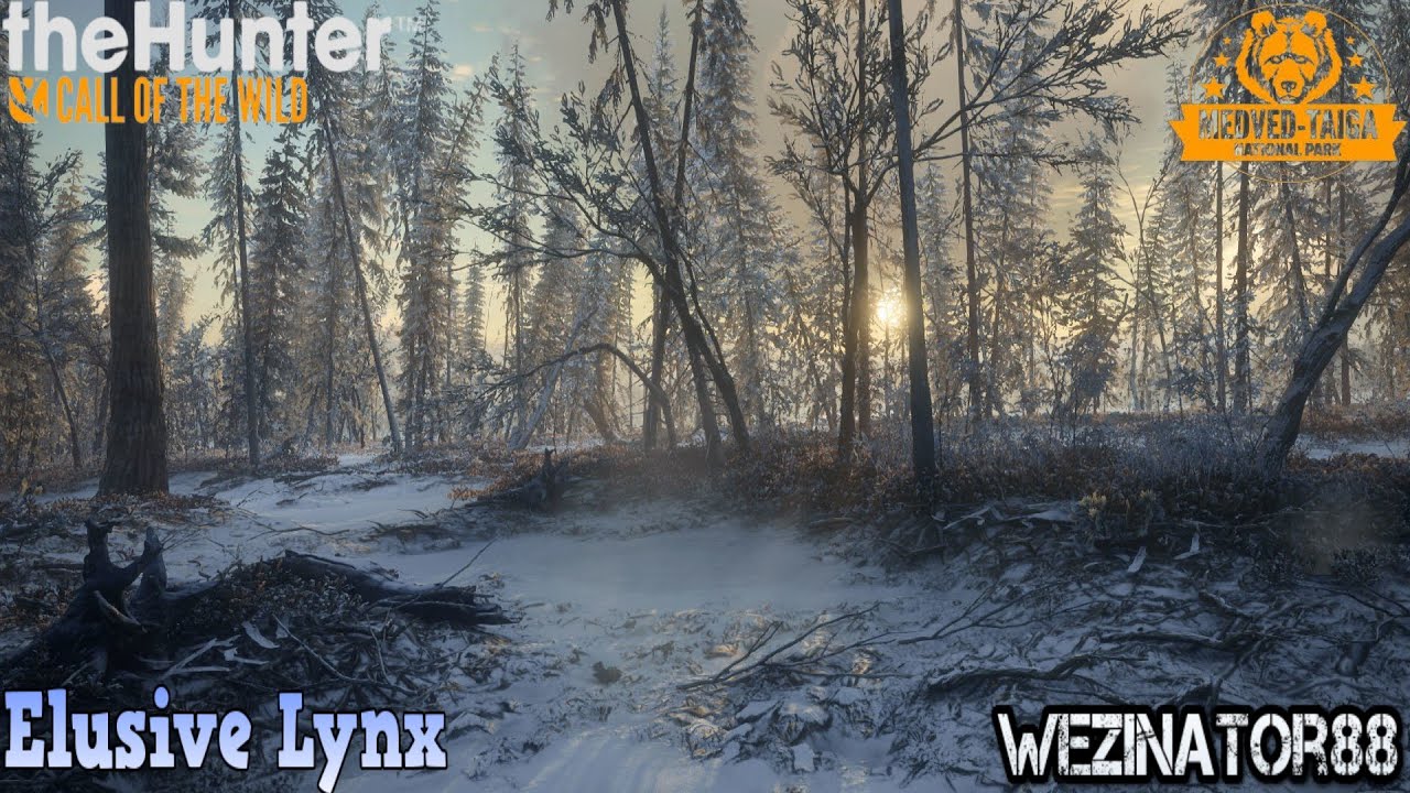 Elusive Lynx - The Hunter: Call Of The Wild - YouTube