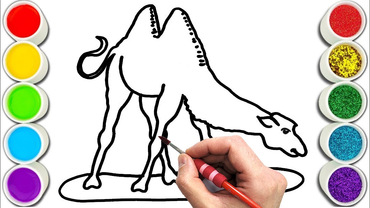 Two Hump Camel Drawing, Painting & Coloring For Kids and Toddlers ...