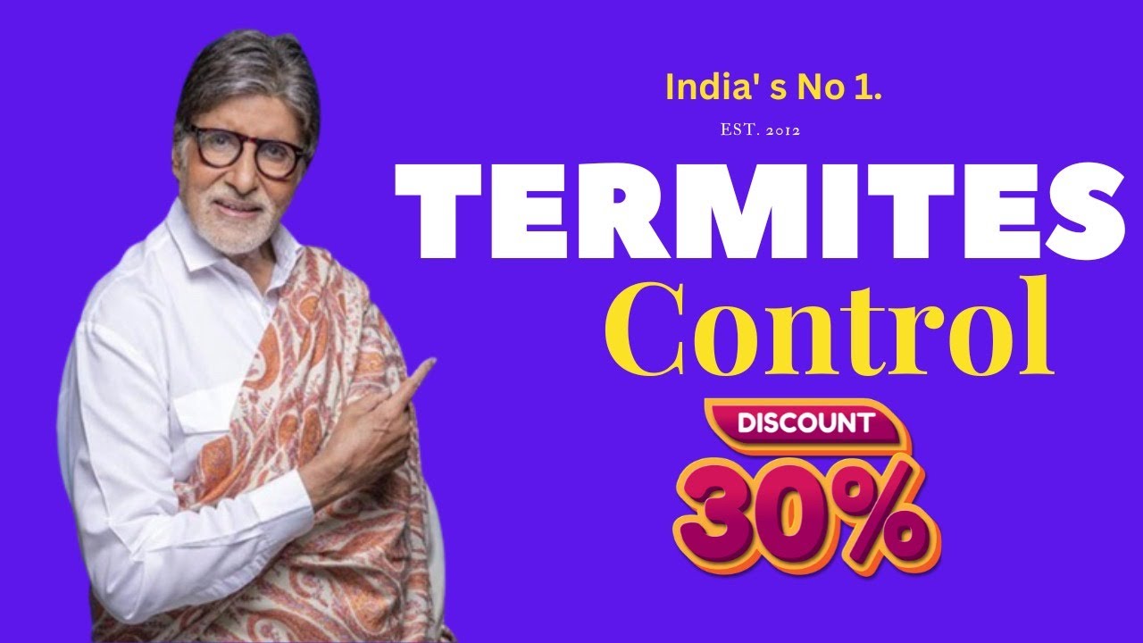 Termite control | pest control || Deemak control ||NCR #pestcontrol # ...
