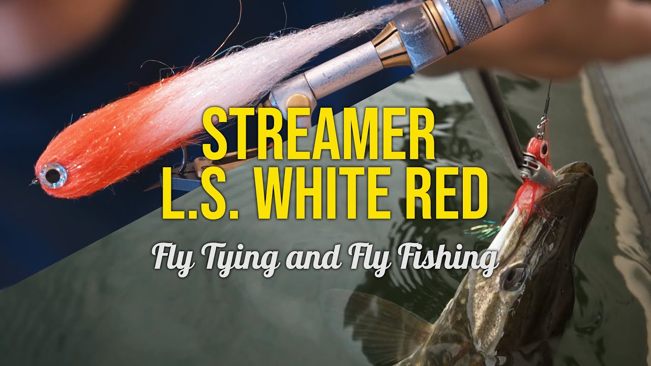 Streamer L.S. White Red - Fly Tying & Fly Fishing - YouTube
