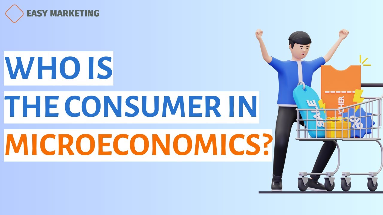 Want to Boost Sales? Understand 'The Consumer' in Microeconomics! - YouTube