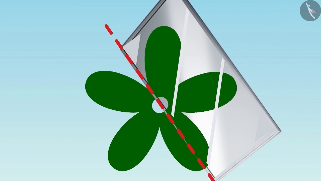 Mirror image and dotted line | Part 2/3 | English | Class 5 - YouTube