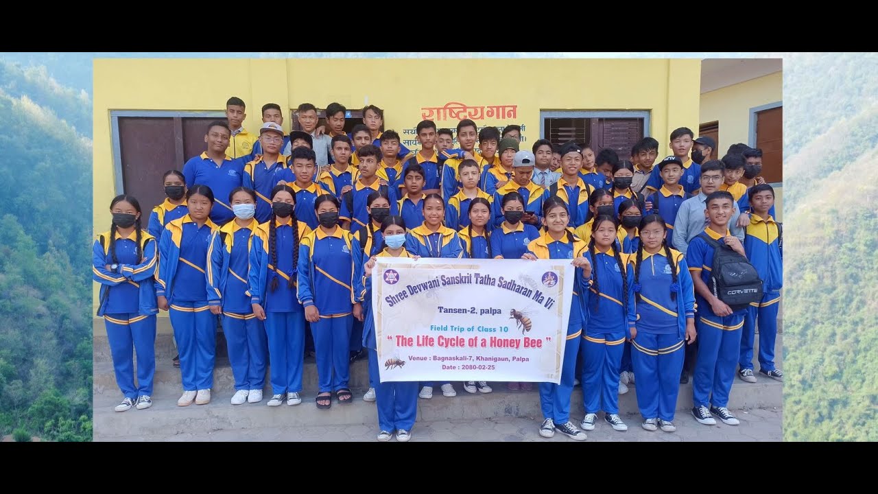 Field Trip | Class 10... - YouTube