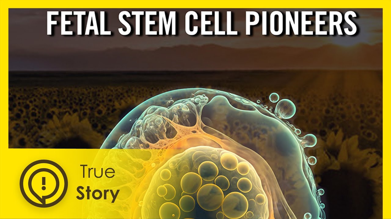 Legal fetal stem cell therapy in Ukraine - True Story Documentary ...