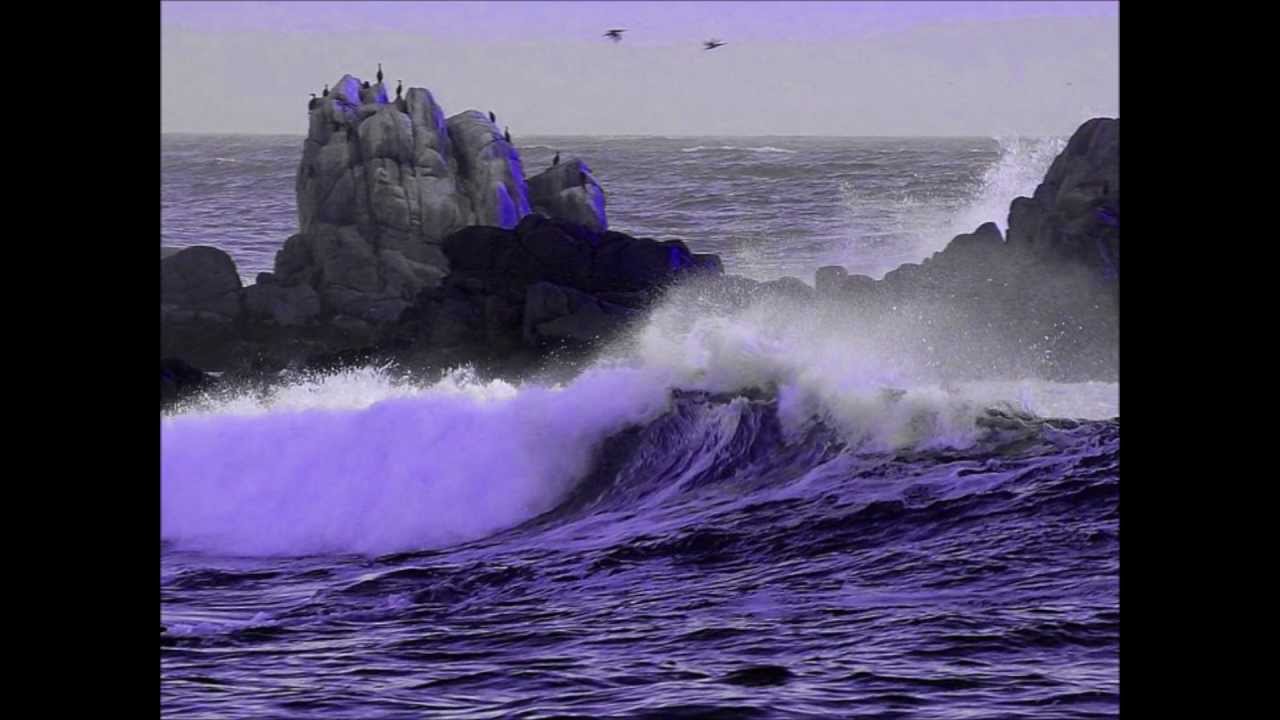 Sea Shell - jeff rauschl (original song) - YouTube