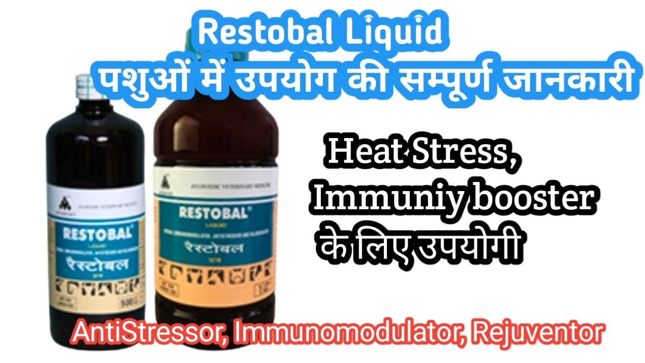 Restobal Liquid !! Veterinary uses in hindi !! - YouTube