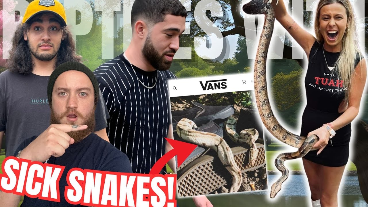 Vans EMACIATED Ball Python & Hawk Tuah RESPIRATORY INFECTION boa ...