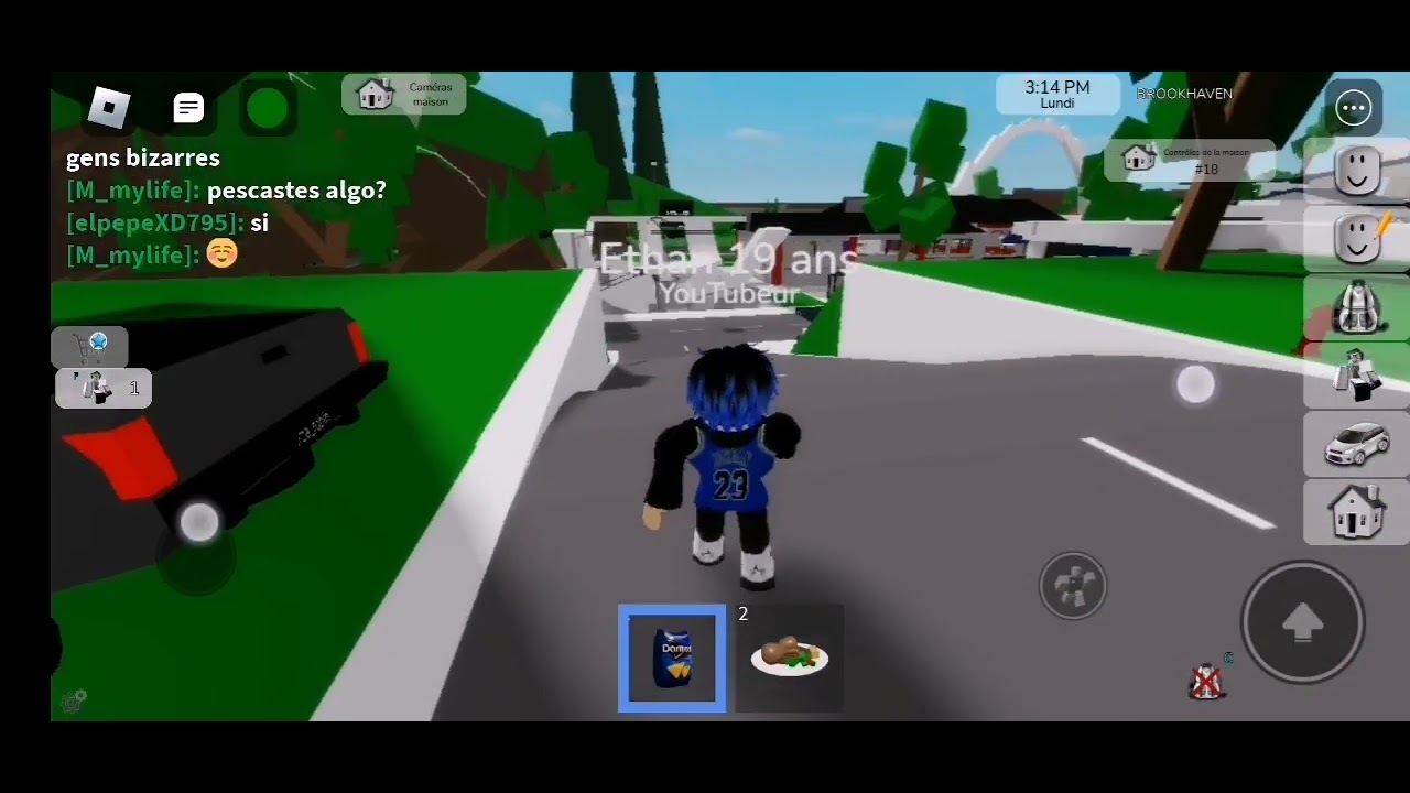 les gens les plus bizarres de roblox - YouTube