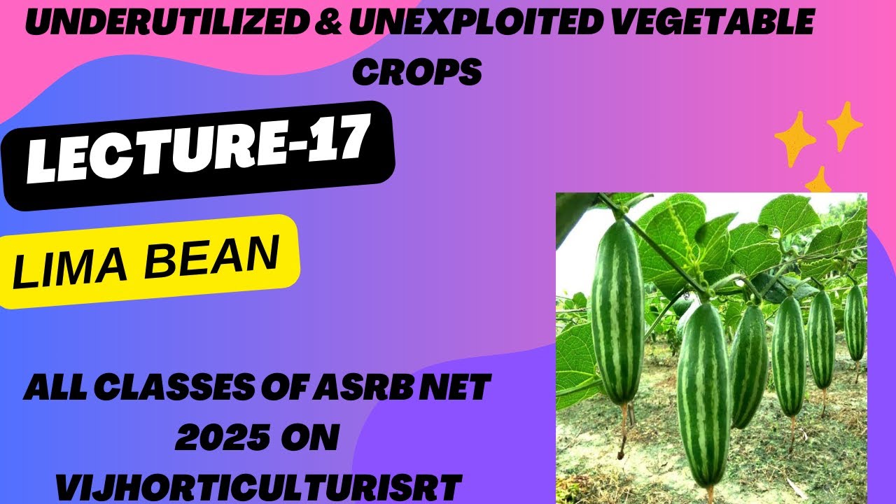 LECTURE 17: Cultivation of LIMA BEAN || Cultivation of Broad Bean ...