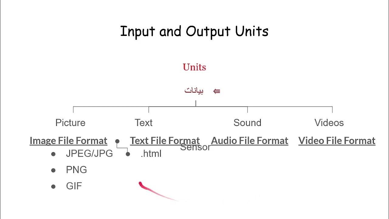 What is a Unit? - YouTube