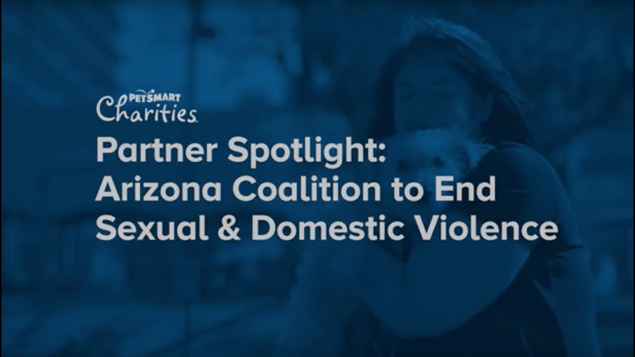 Partner Spotlight: Arizona Coalition to End Sexual and Domestic ...