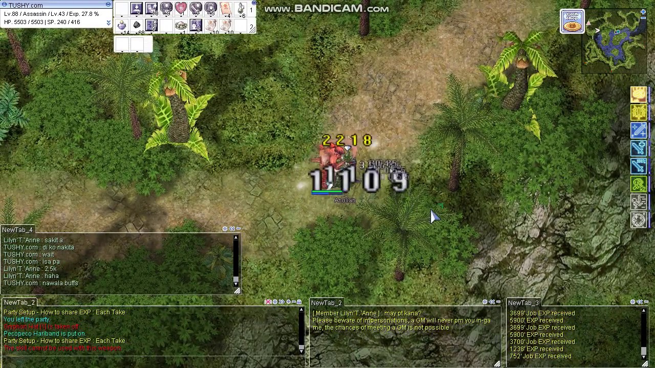 Dual Dagger Assassin [w/ BS Buffs+Endow] vs Anolian - YouTube