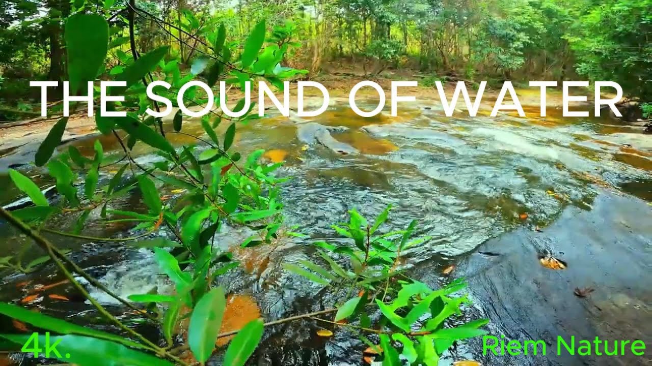 THE SOUND OF WATER FLOWING. LOVE FOREST AND NATURE - YouTube