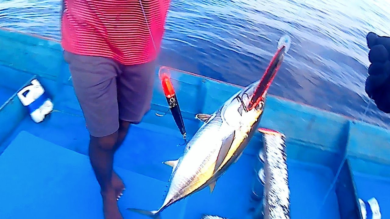 Amazing Bluefin Tuna Catching Skill , Big Catch Fishing in Deep Sea ...