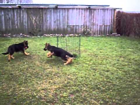 Leri Becca og Leri Bianca leger med bold - YouTube