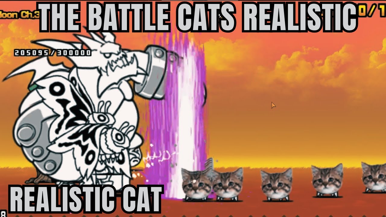 The Battle cats realistic (realistic cat) - The Battle Cats - YouTube
