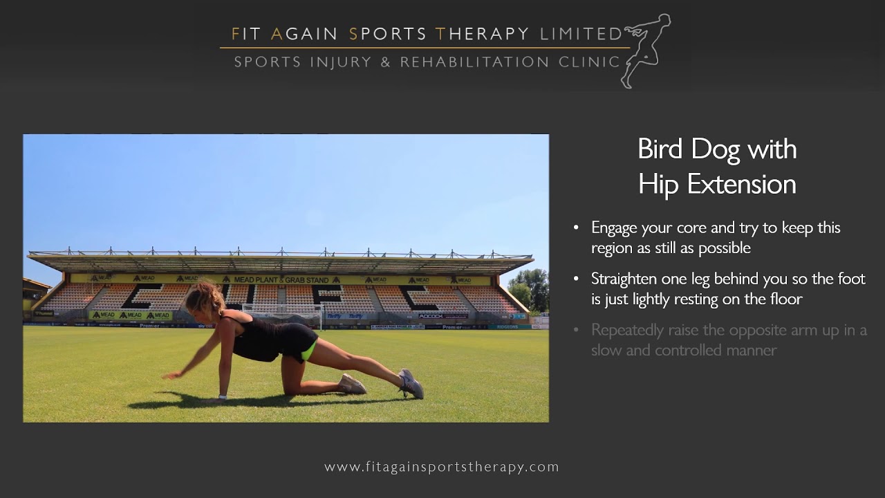 Bird Dog with Hip Extension - YouTube