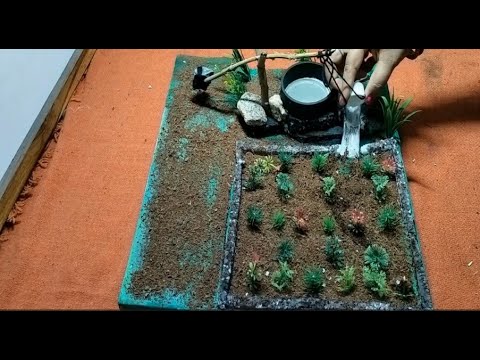 Dhekli Traditional irrigation Dhekli working model school project - YouTube
