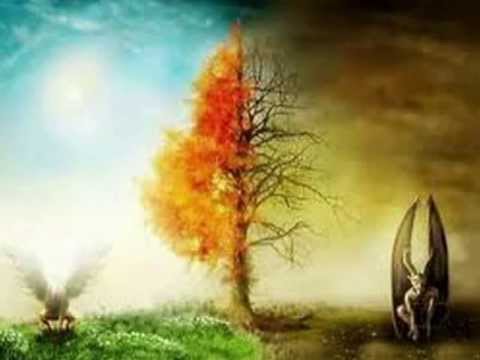 Reflexion sobre el bien y el mal - YouTube