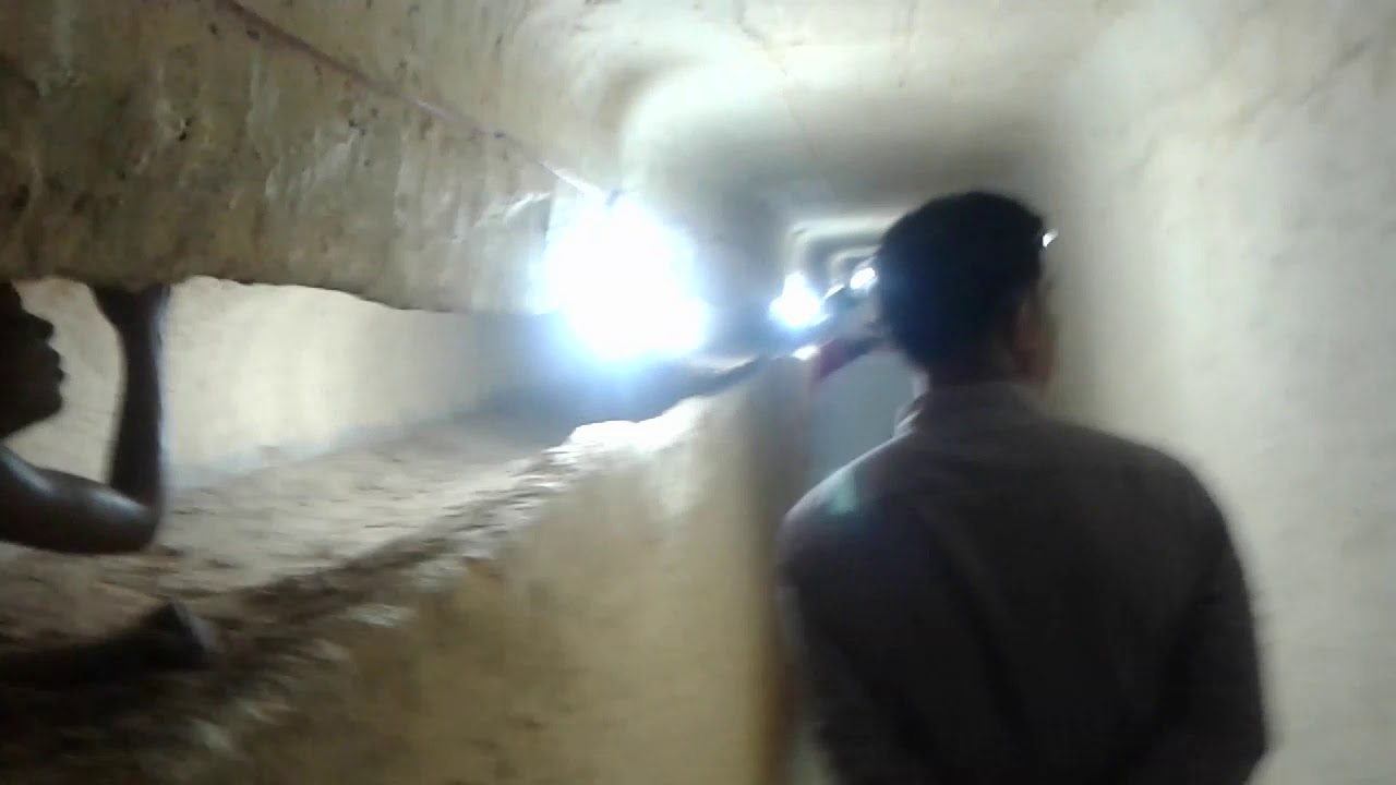 Pplppp lo plllpppppplp OK l lo pppl lo lpppplpppp lo p lo ...