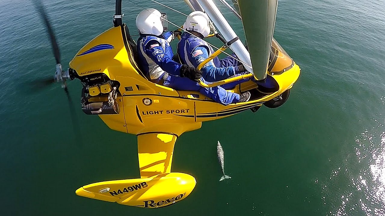 Pacific Blue Air REVO Trike Flight Experience (w/ Epic Whale Flyover ...