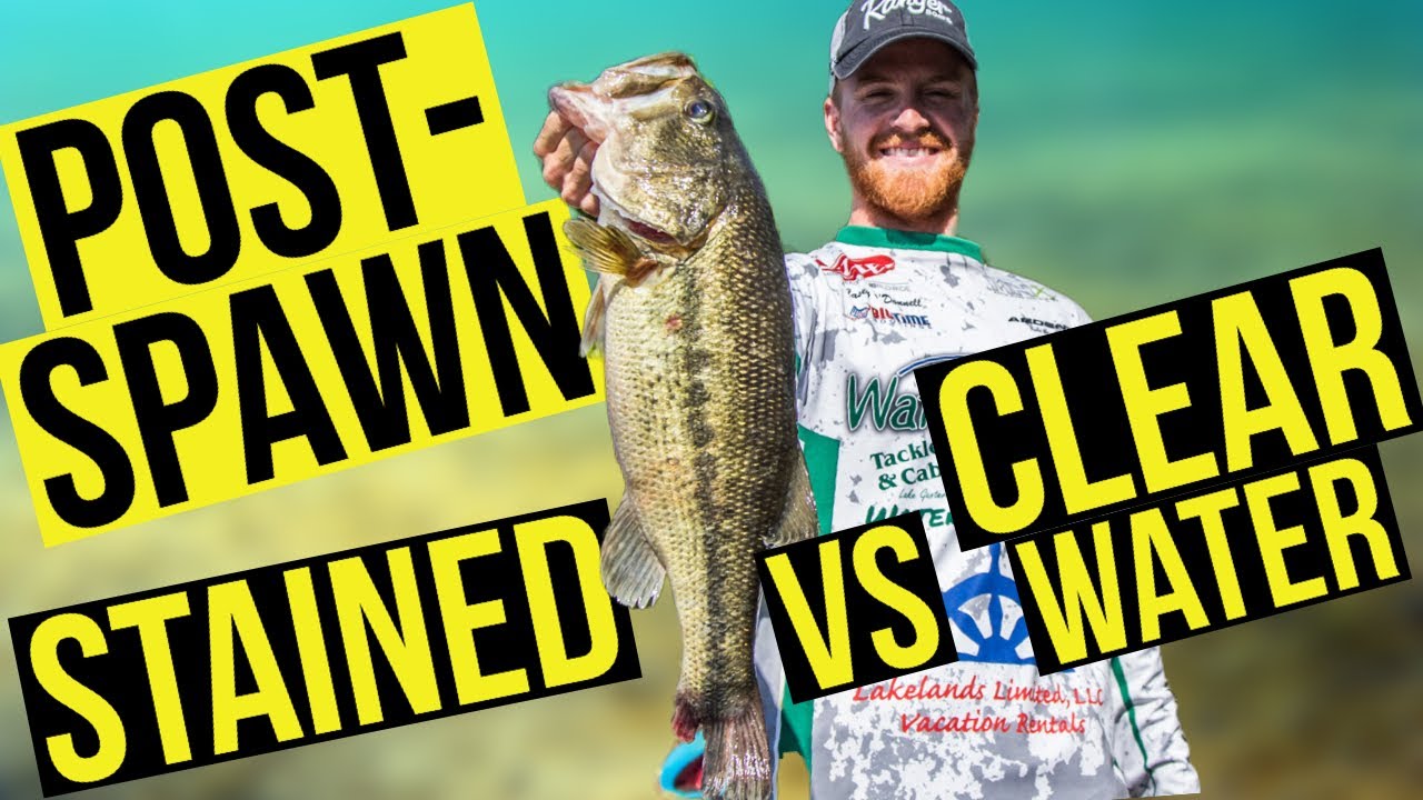 Why YOU Struggle Post-Spawn Bass Fishing - YouTube