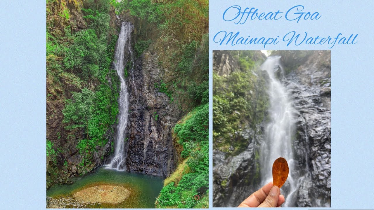 Mainapi Waterfall,Netravali Wildlife Sanctuary,South Goa | Unexplored ...