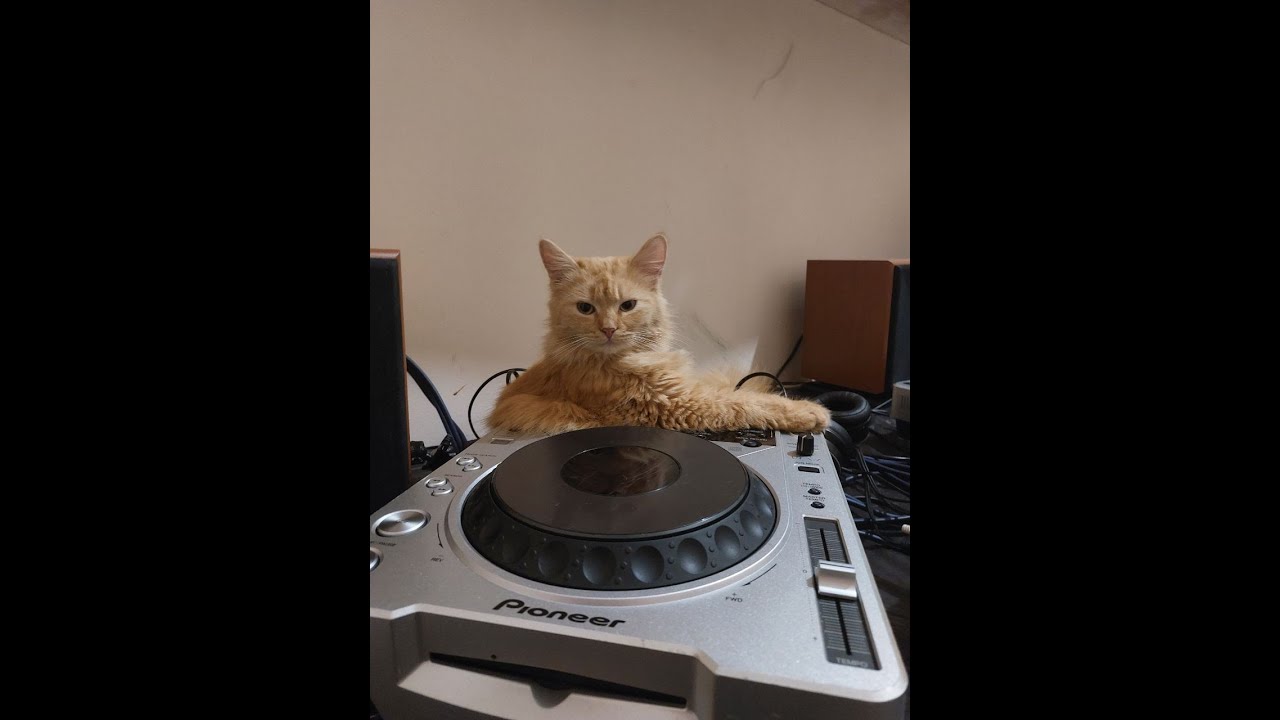 DJ SOUL disco house 20 - YouTube
