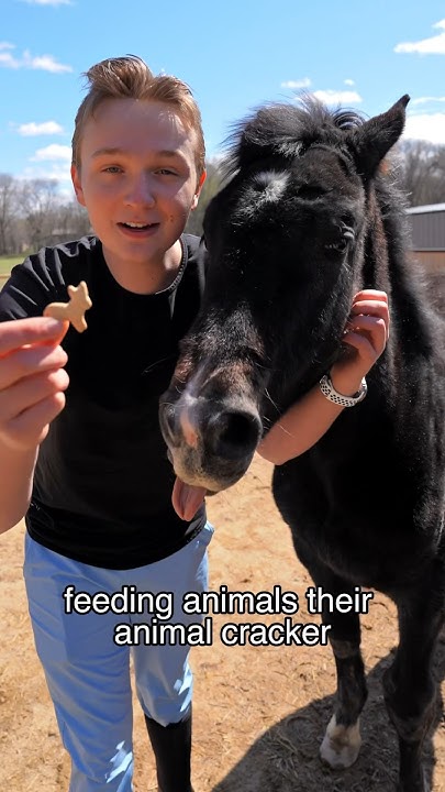 Fed my horse a horse for National Animal Cracker Day - YouTube