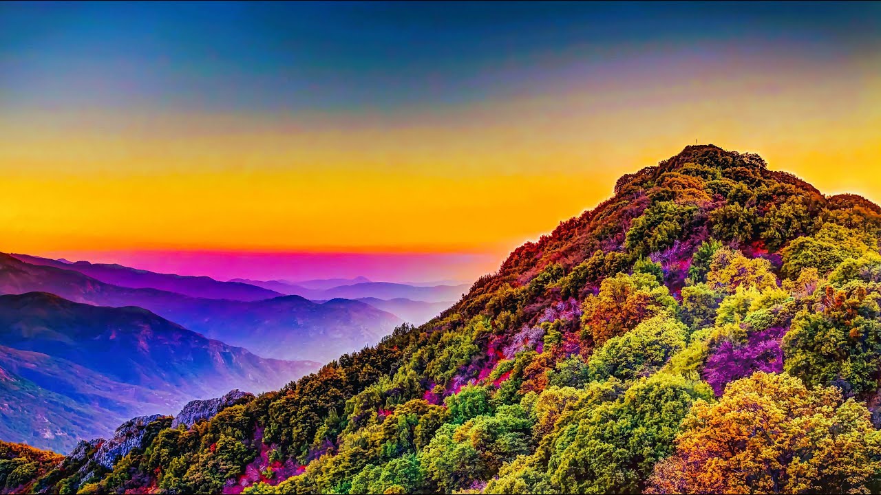 【1 hour】Beautiful piano music for sleeping and deep relaxation.flute ...