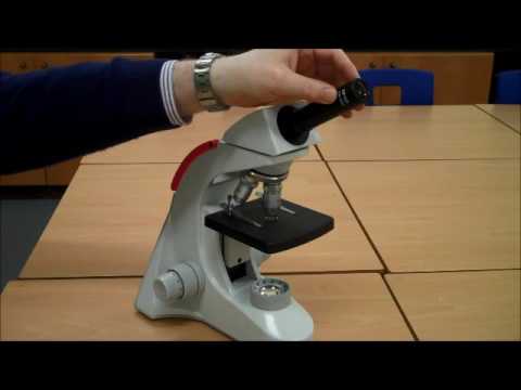 How to use a light microscope - YouTube