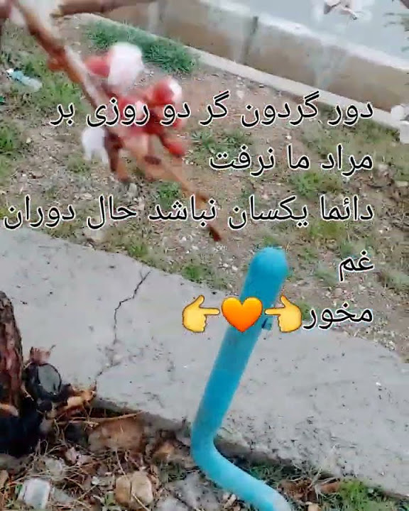 دور گردون گر دوروزی بر مراد ما نرفت دائما یکسان نباشد حال دوران غم مخور👈🧡👉 Youtube