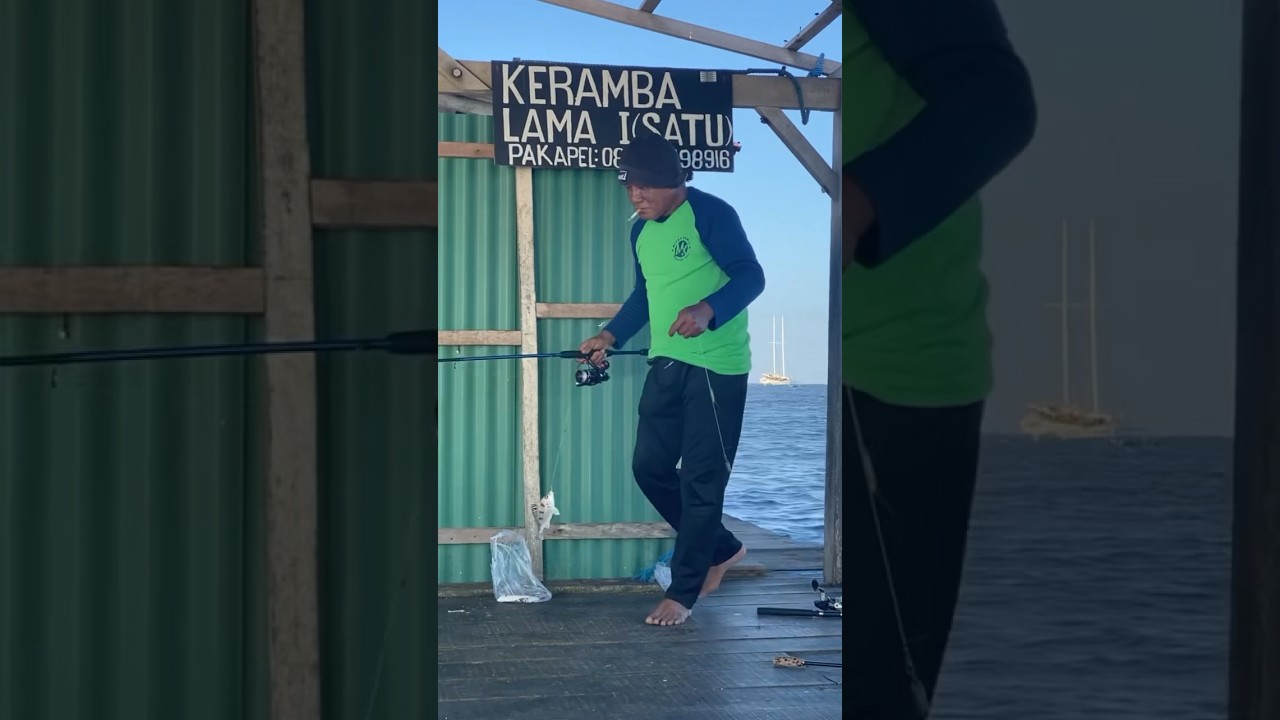 Sarang ikan kerung (juventus) 🎣🐟 - YouTube