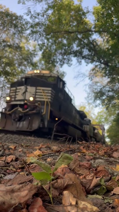 NS 4704+4745 carries hoppers down south. Thanks for 3 subs!! - YouTube