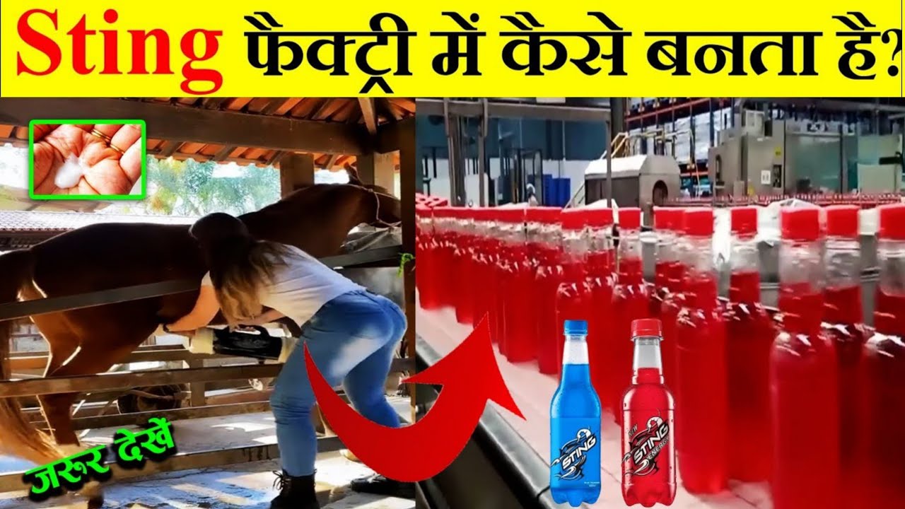 Factory मे Sting energy drink कैसे बनती है | Dark Reality of STING ...