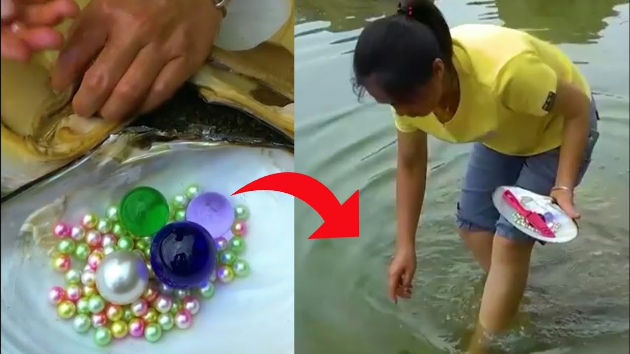 Natural pearl growth | How pearls are made | Discovering Nature's ...