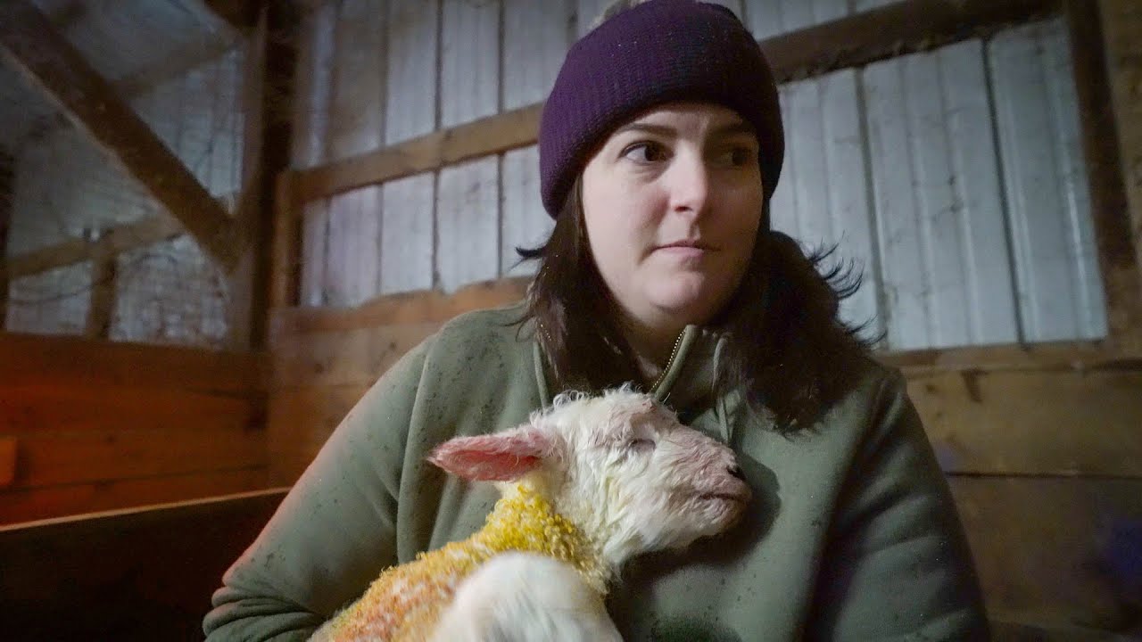 Help Us Name It! - YouTube