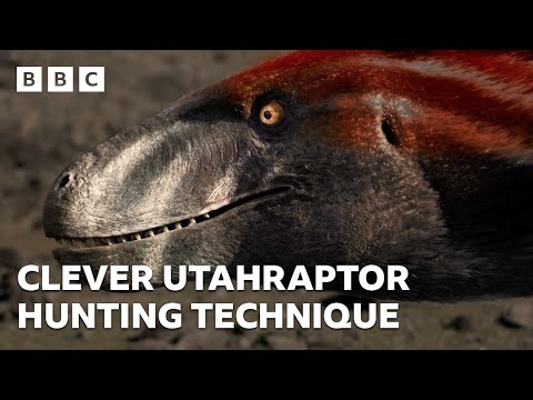 Clever Utahraptor hunting technique | Walking With Dinosaurs