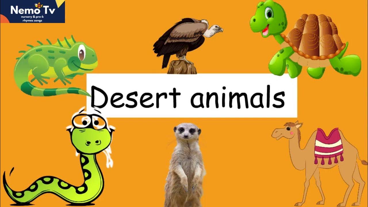 Desert Animals for Children - Desert Animal Sounds for Kids to Learn ...