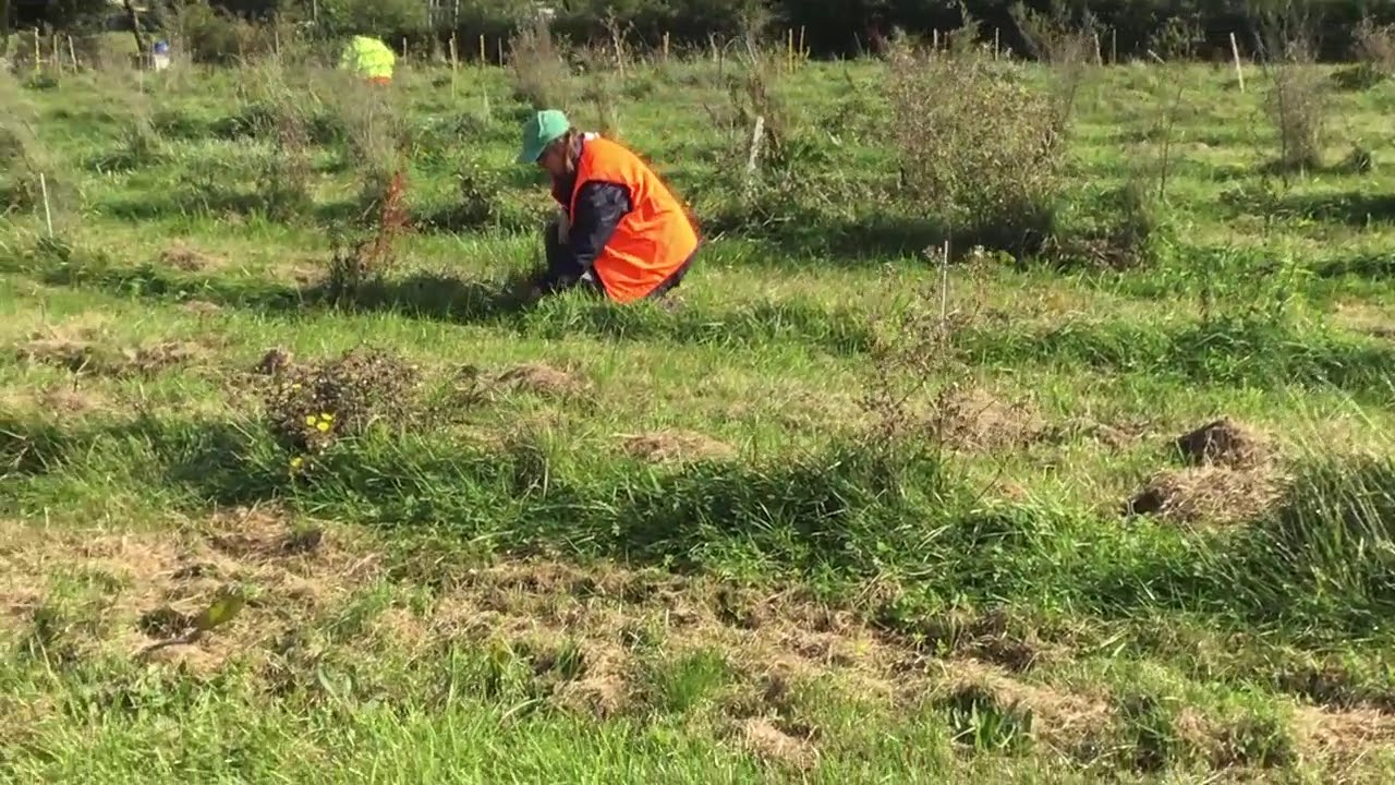 Easy Bee Products 28 10 - YouTube