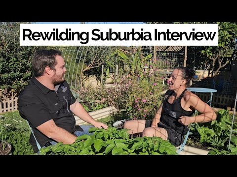 Rewilding Suburbia: Mel Logozzo On Holistic Gardens, Bugs, Lawns ...