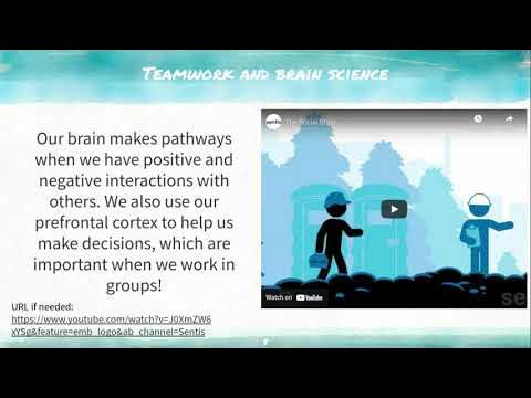 SEL Lesson 4-5 Week 22: Teamwork - YouTube