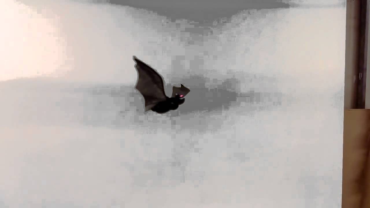 Animated Flying Bat SS25136 #halloween - YouTube