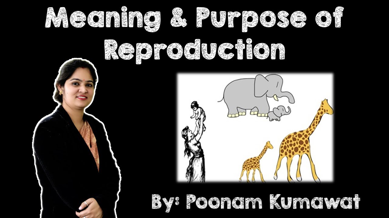 Class 12 L 4 Meaning Purpose Of Reproduction Reproduction In