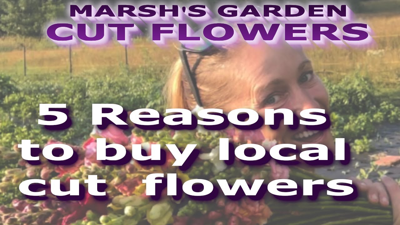 Why Buy Local Flowers? 5 Reasons to Buy Local Flowers from Flower ...