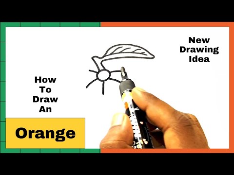 Orange Drawing Step By Step | How To Draw An Orange Easy | Easy Drawing ...