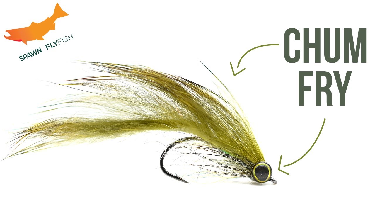 Chum Fry Fly Pattern For Sea Run Cutthroat - YouTube