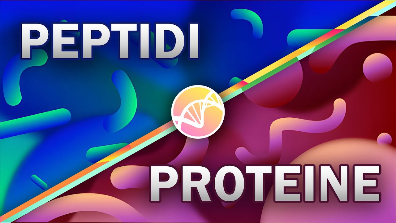 PEPTIDI o PROTEINE? Come li dobbiamo chiamare. - YouTube