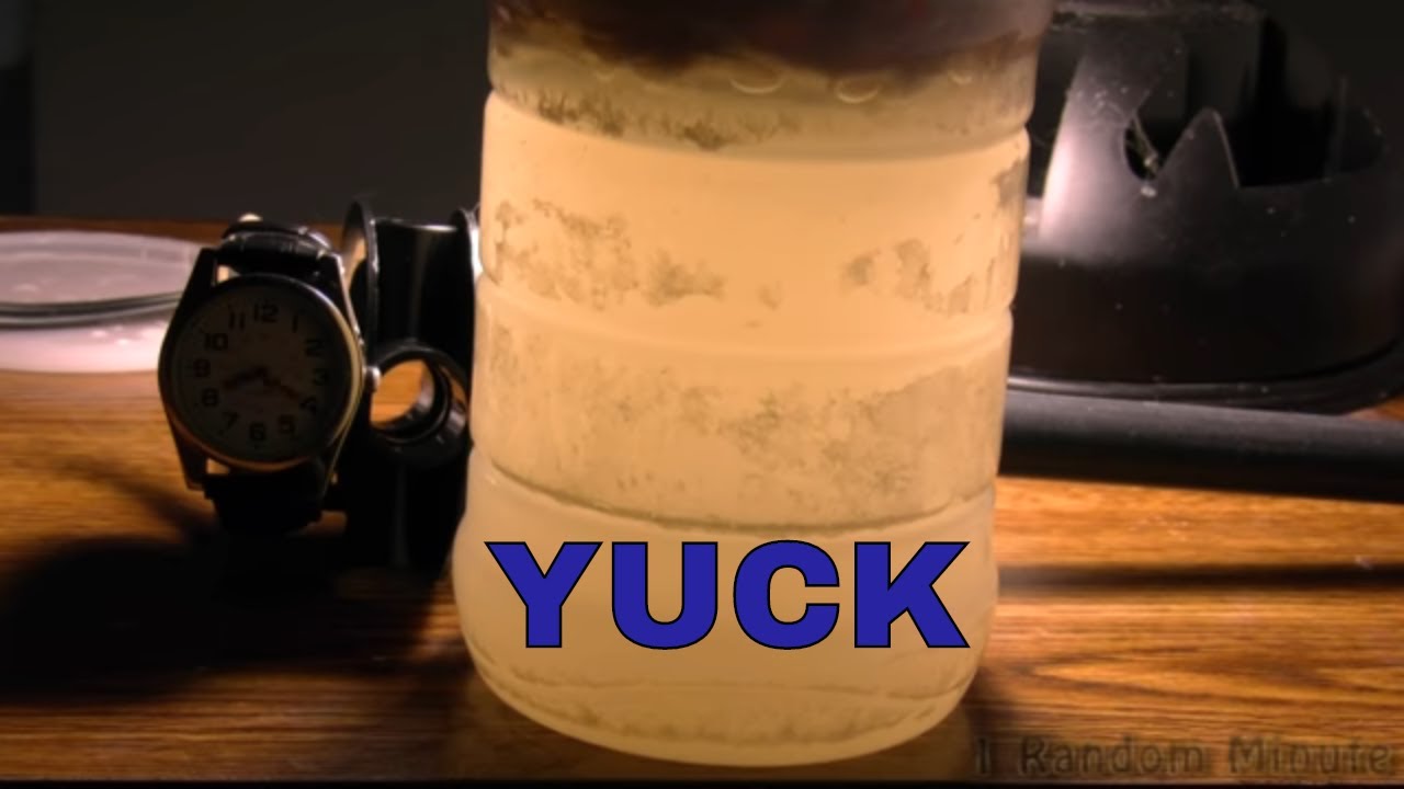 Milk Time-Lapse - YouTube